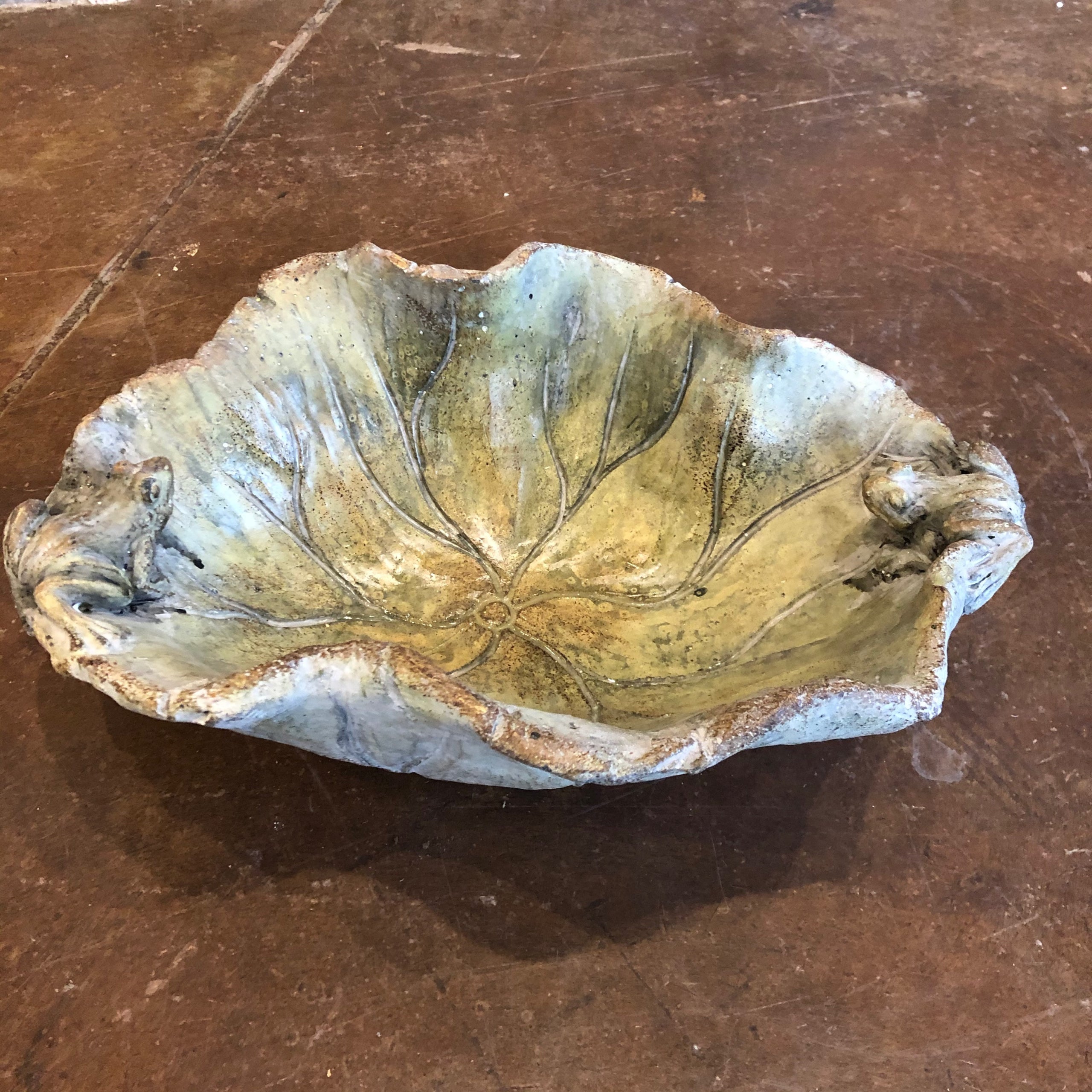 Frog Leaf Planter | DSLD Land Management Aquascapes