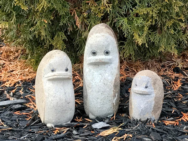 2" Boulder Penguin | DSLD Land Management Aquascapes