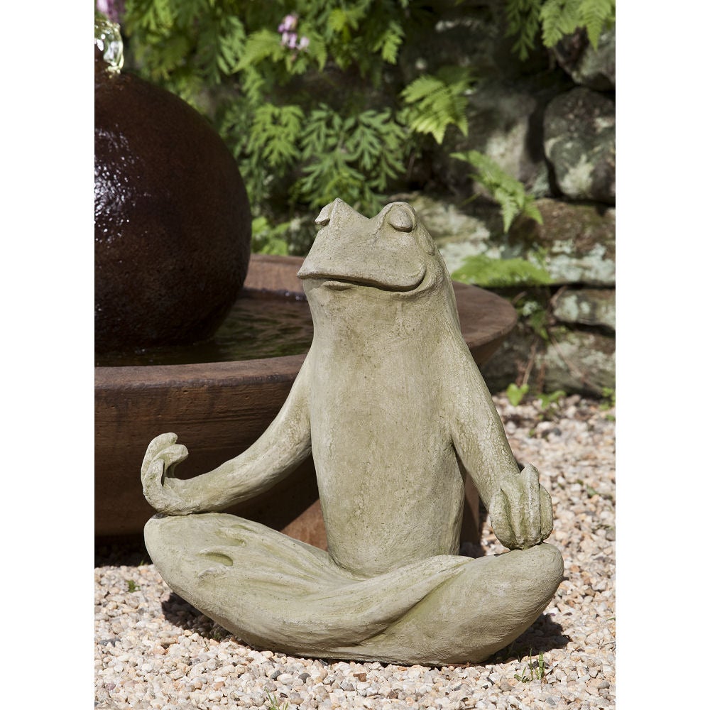 Totally Zen Frog | DSLD Land Management Aquascapes